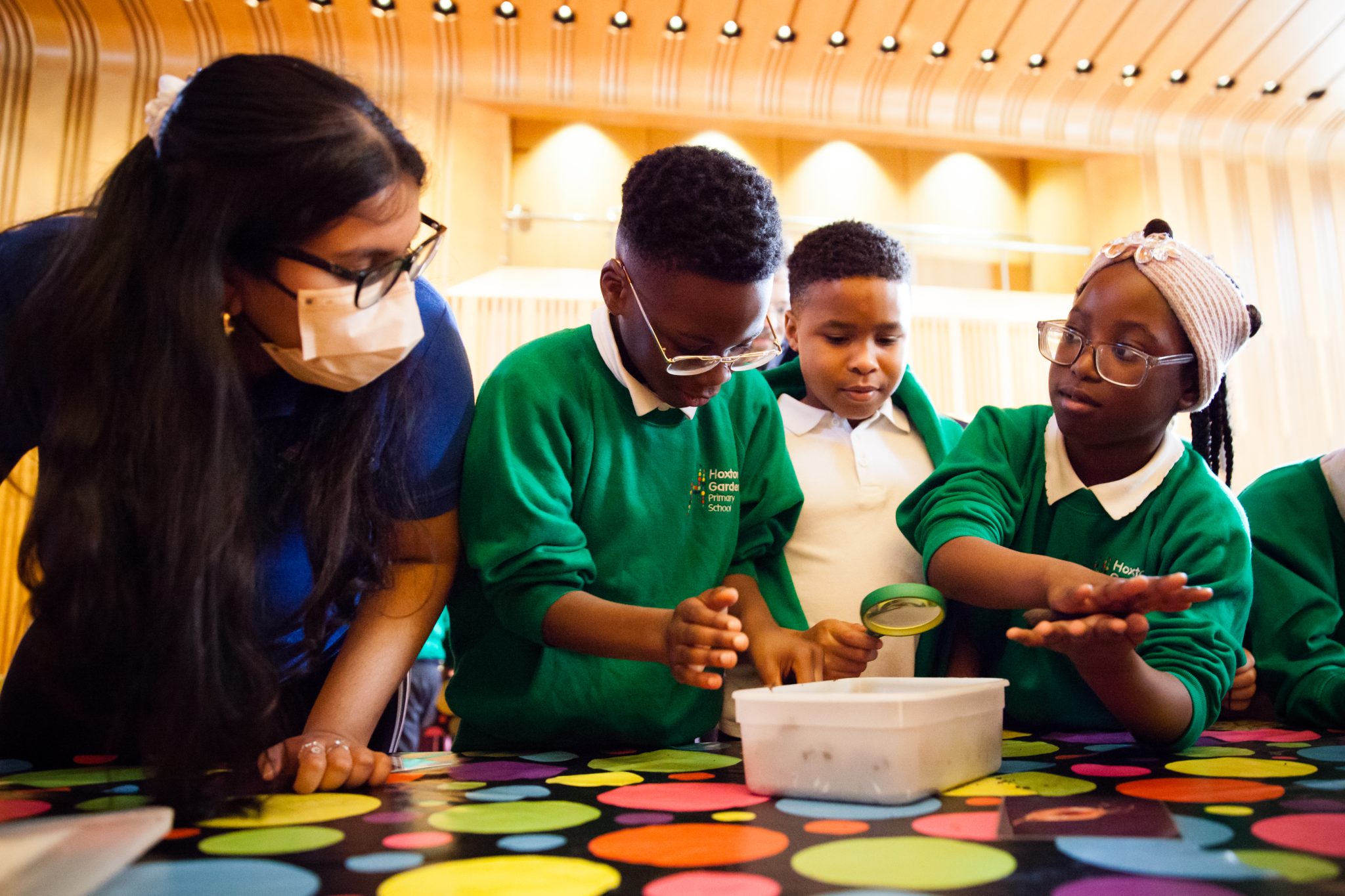 Outreach Ambassadors - Salters' Institute